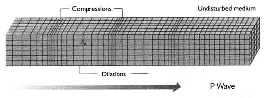 Types Of Earthquake Waves Types Of Earthquake Waves